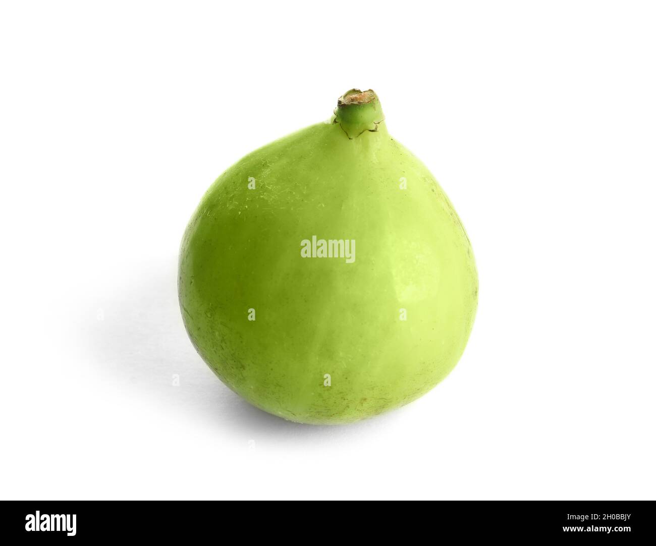 Whole ripe green fig on white background Stock Photo - Alamy