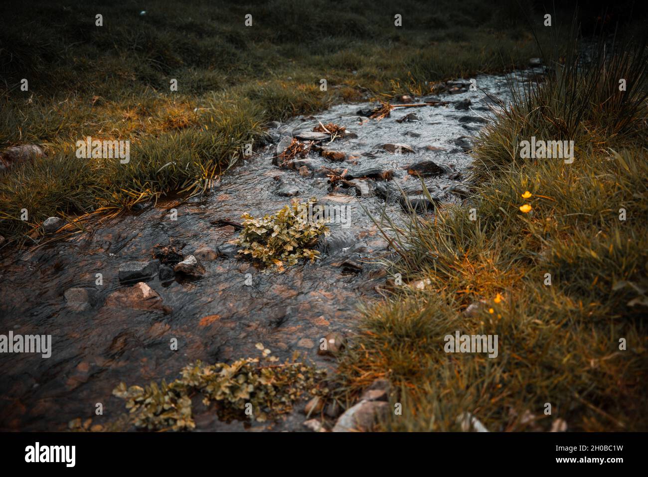 Narrow water channel in the mountain field against a cloudy sky Stock ...