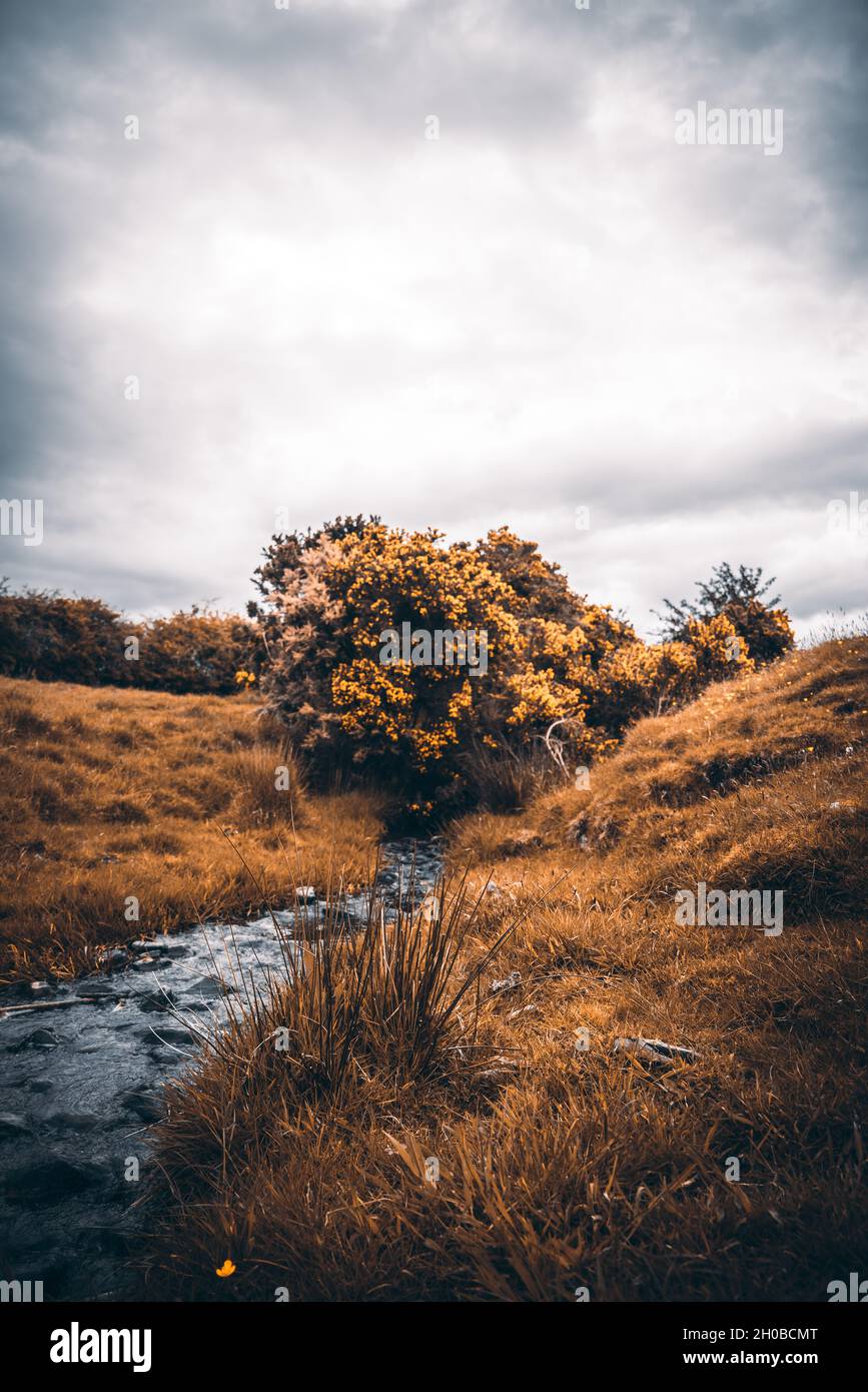 Narrow water channel in the mountain field against a cloudy sk Stock ...