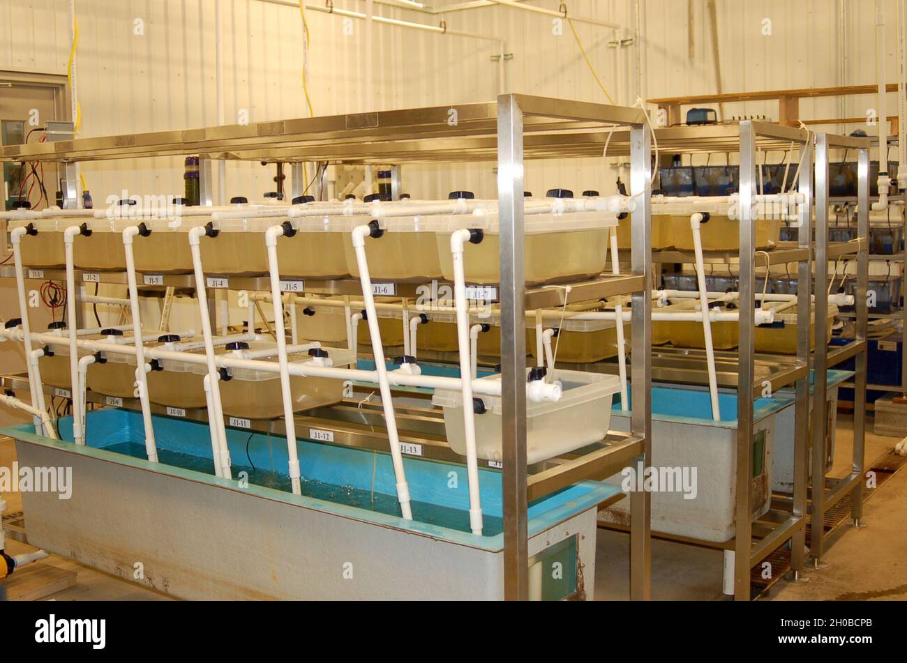 These are juvenile mussel culture systems at the Cumberland River ...