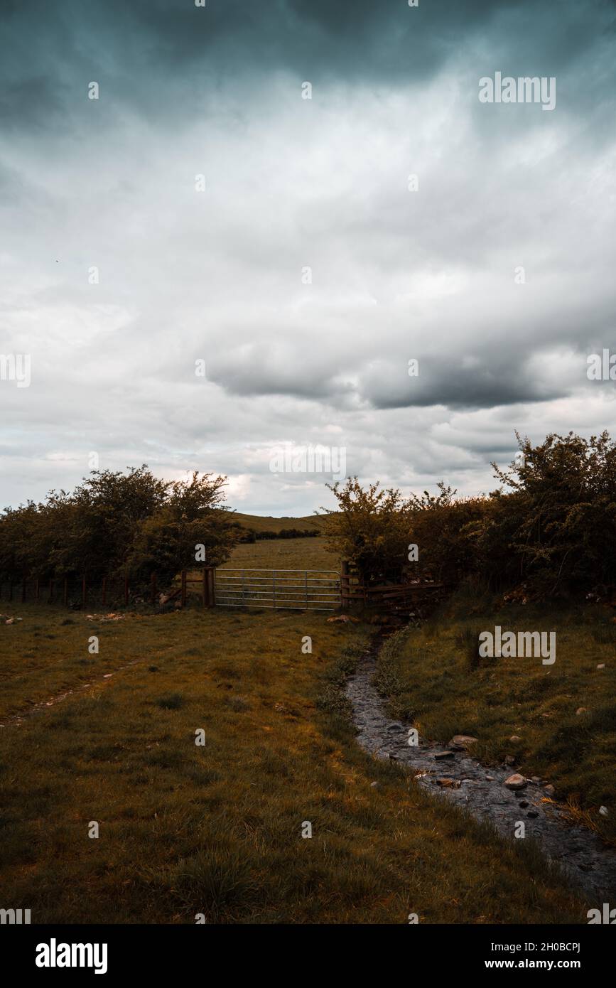 Closed gate of a farm field beside a narrow water channel against a ...