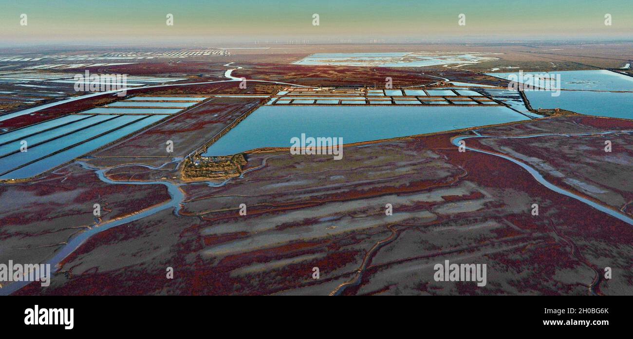 Aerial view of the Red Beach at the Liaohekou Nature Reserve in Panjing ...