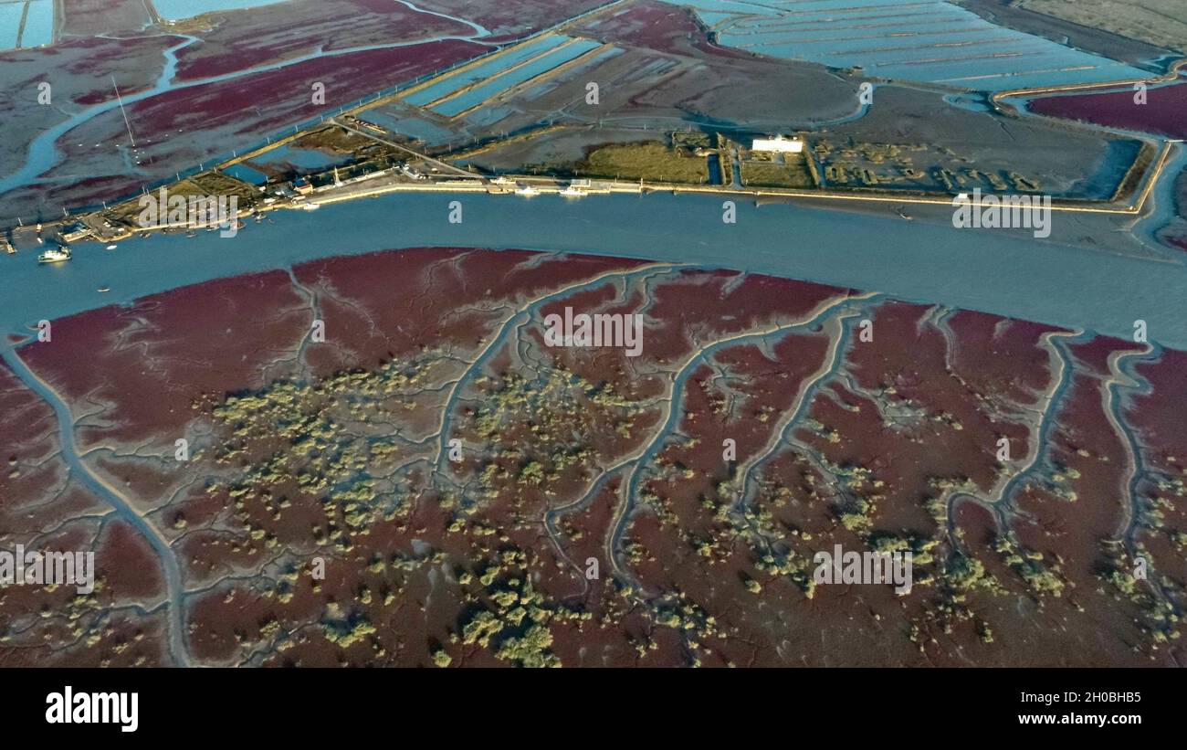 Aerial view of the Red Beach at the Liaohekou Nature Reserve in Panjing ...