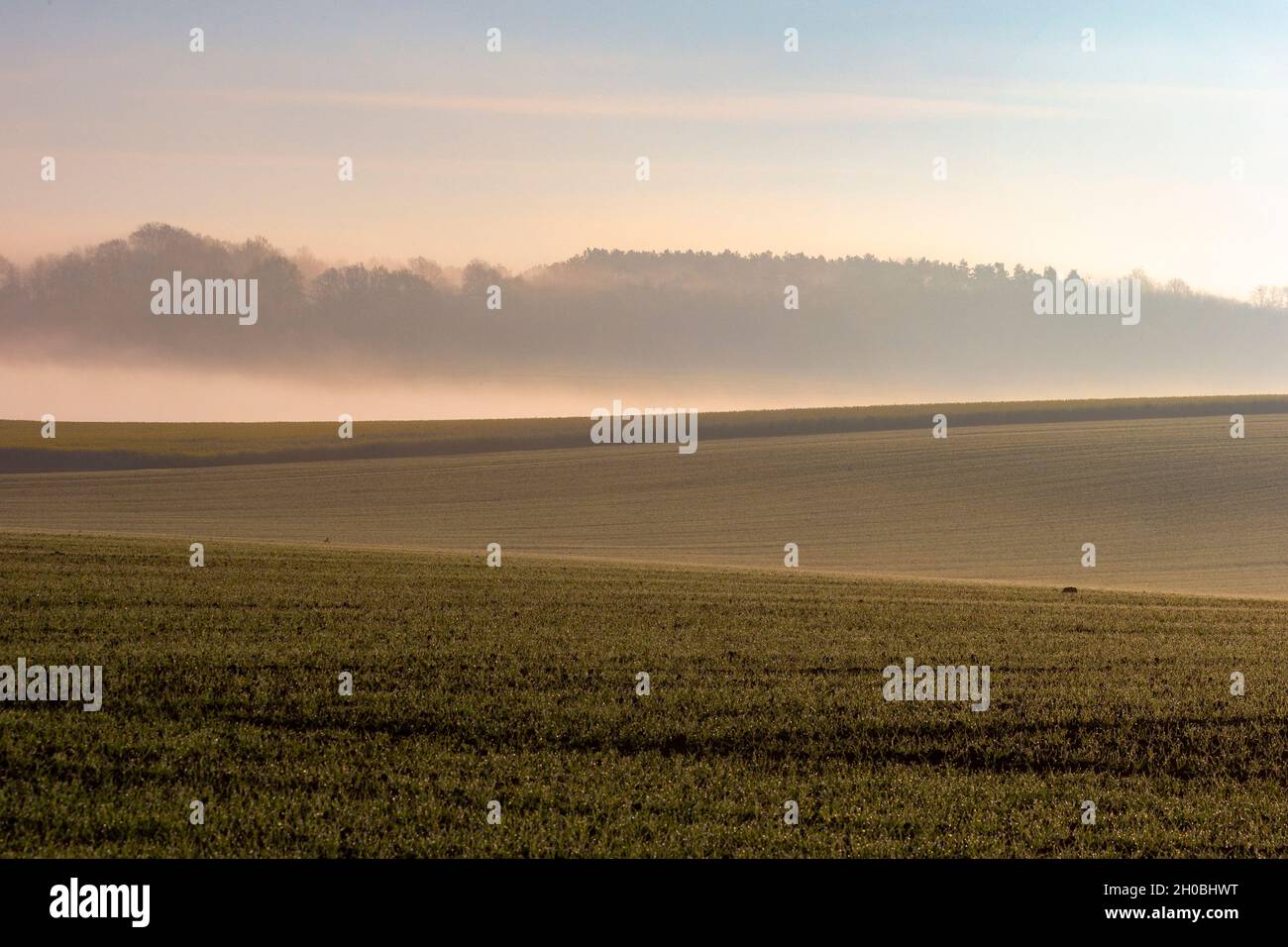 Arable farming, agricultural territories, region of Senlis, Department ...