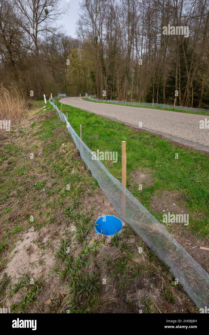 Installation of fences, during the breeding season, to prevent ...