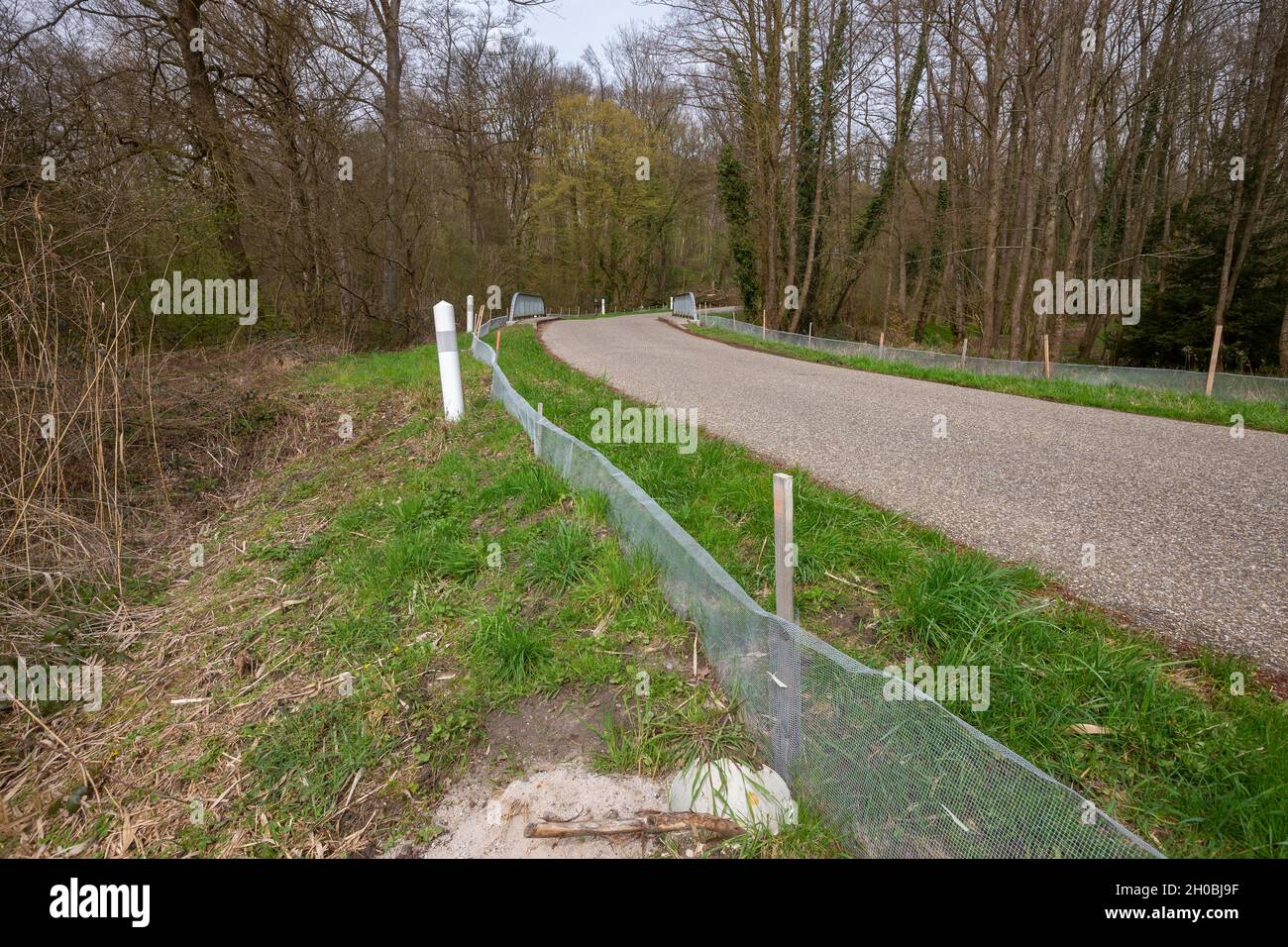 Installation of fences, during the breeding season, to prevent ...