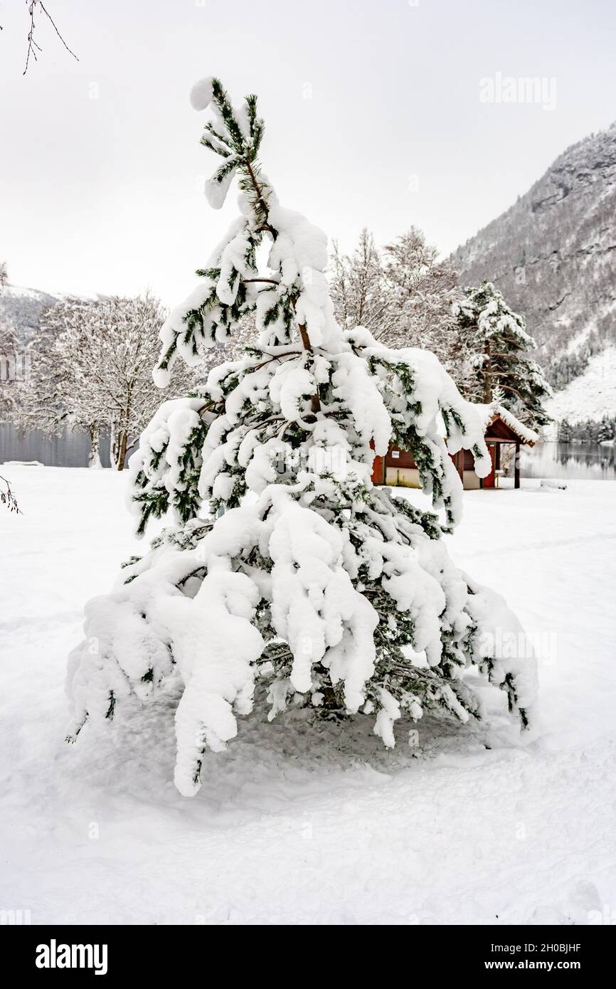 Peculiar to this village hi-res stock photography and images - Alamy