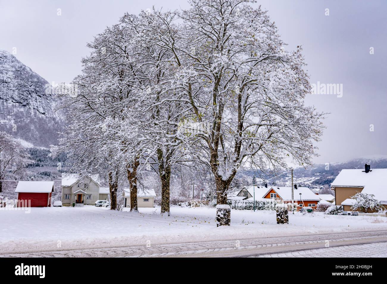 Volda village in winter season; cozy houses and picturesque trees ...