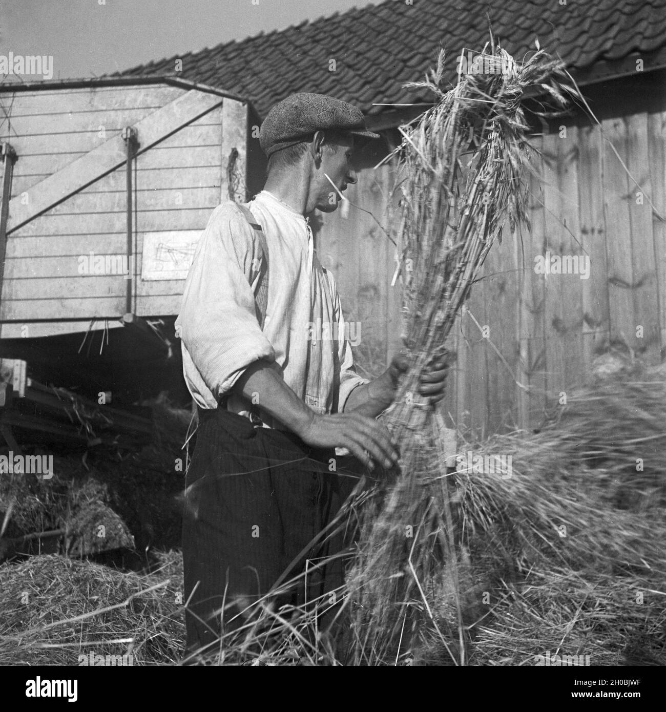 Heuernte historisch hi-res stock photography and images - Alamy