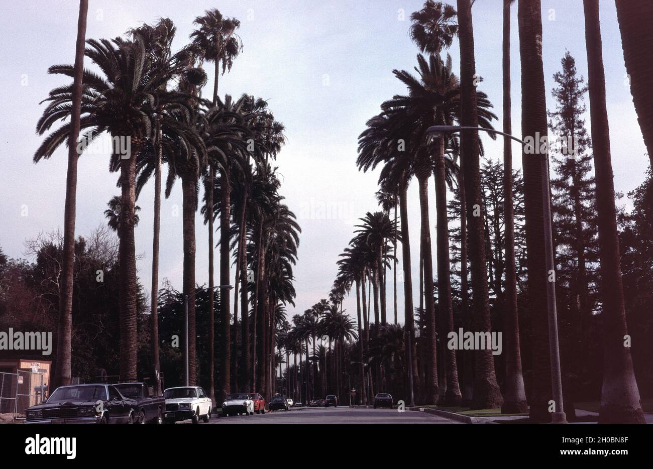Los Angeles 1990 High Resolution Stock Photography and Images - Alamy