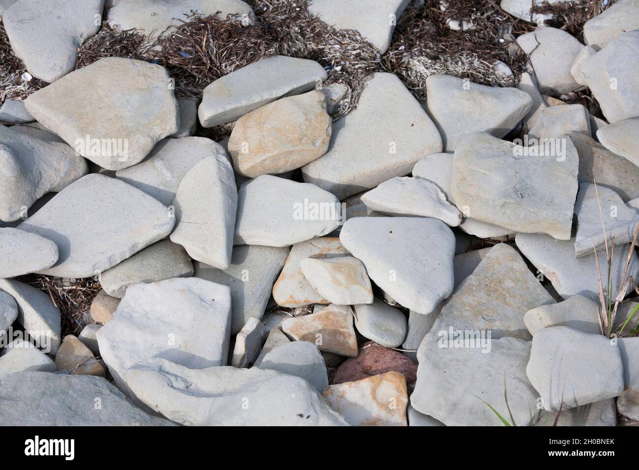 LIMESTONE polished by the sea for a long time Stock Photo - Alamy