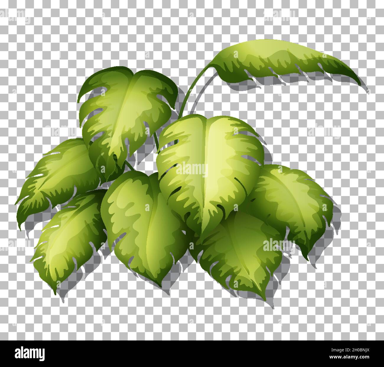 Tropical plant on transparent background illustration Stock Vector ...