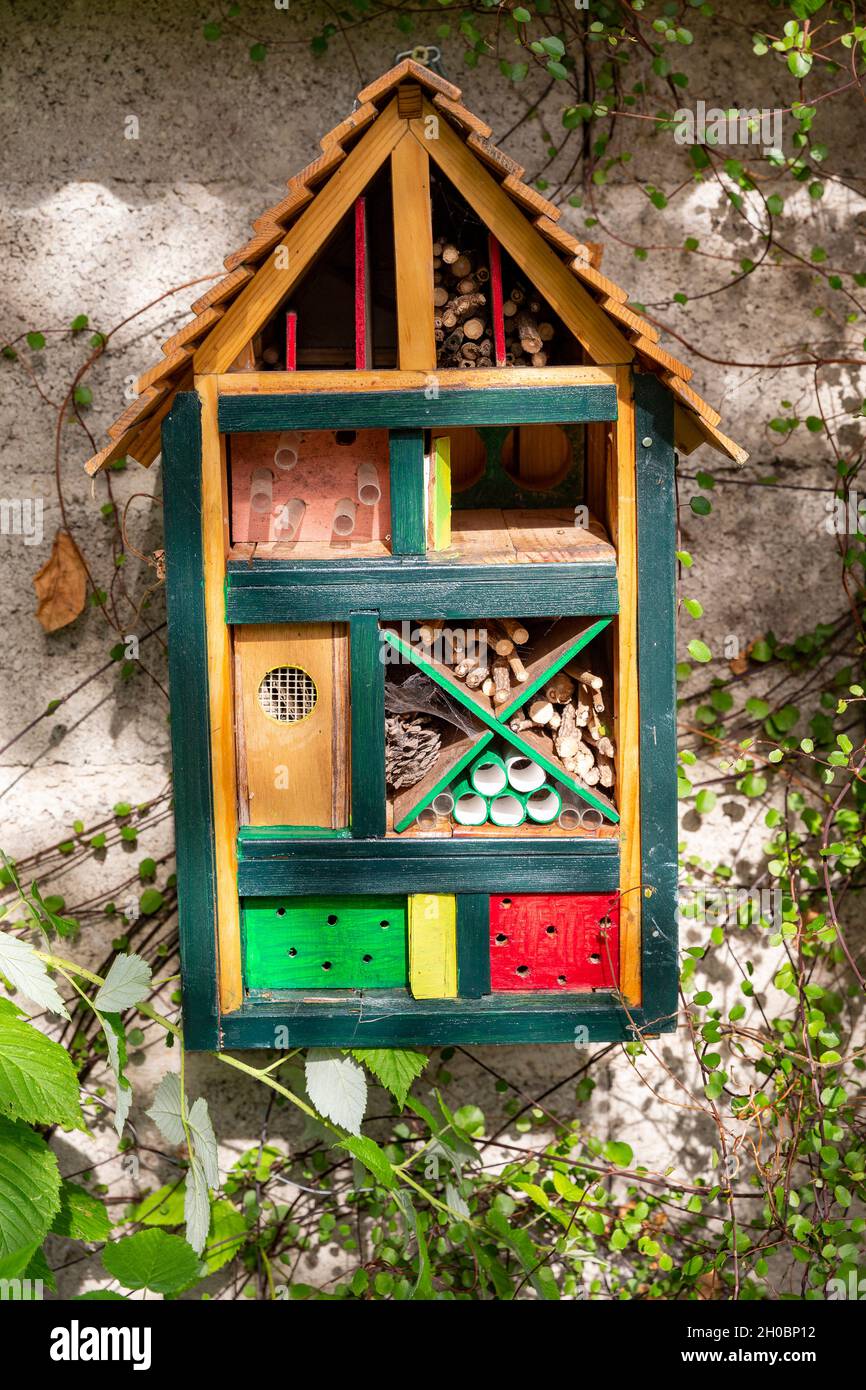 Insect hotel against a wall , insect shelter made of different ...