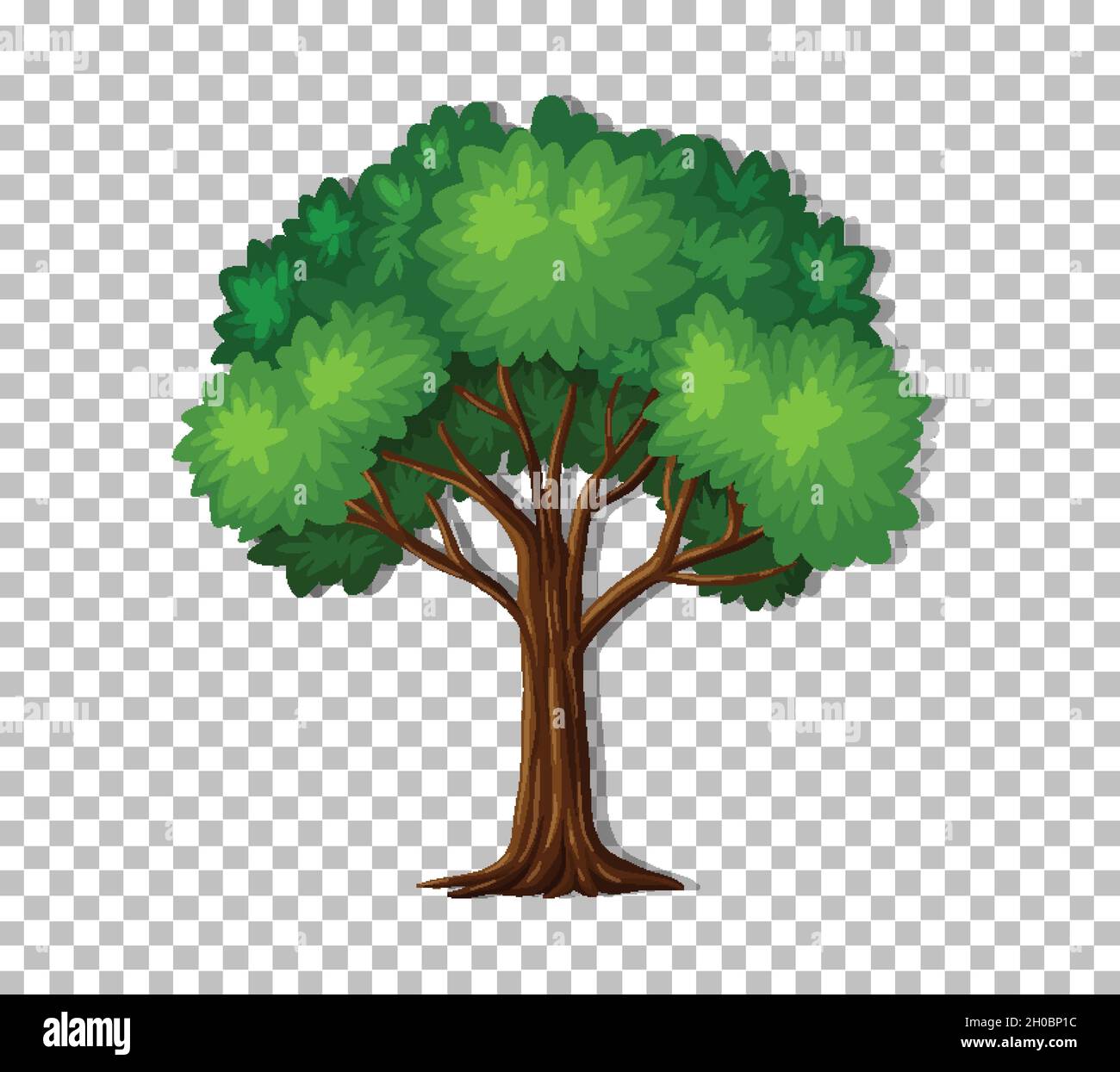 Tree on transparent background illustration Stock Vector Image & Art ...