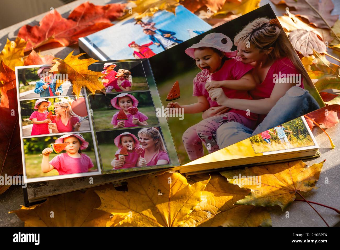 Photobook on the leaves background, closeup of photobook, family photo ...