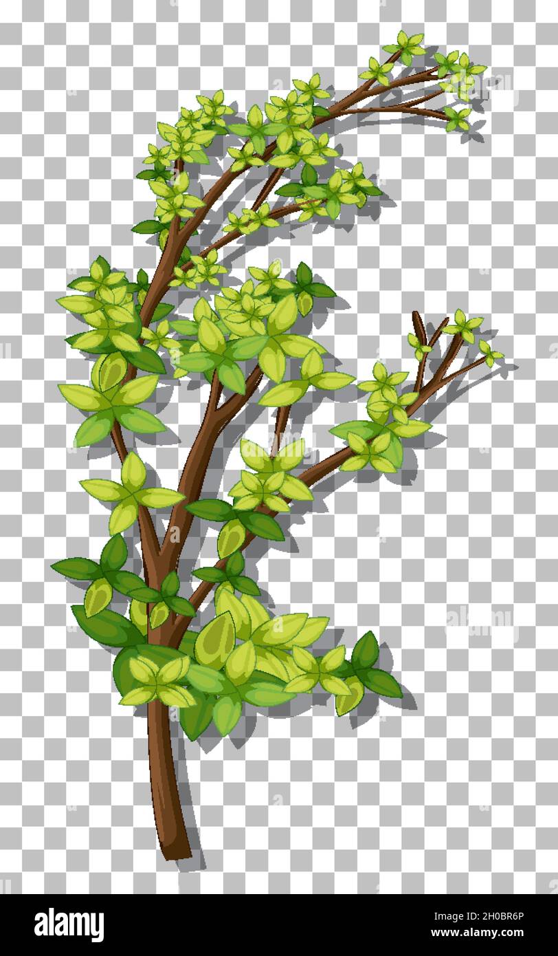 Tree on transparent background illustration Stock Vector Image & Art ...