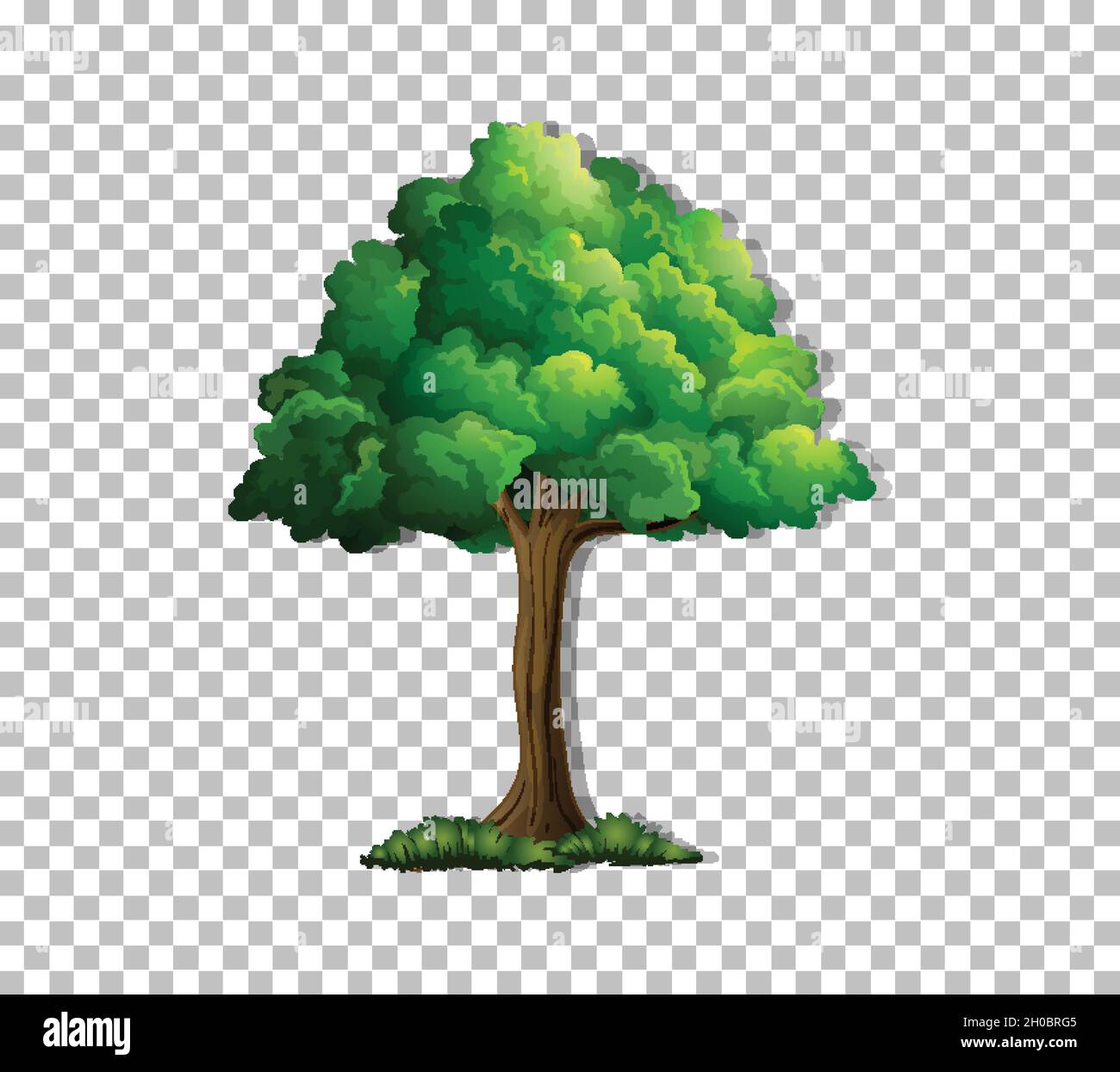 Tree on transparent background illustration Stock Vector Image & Art ...