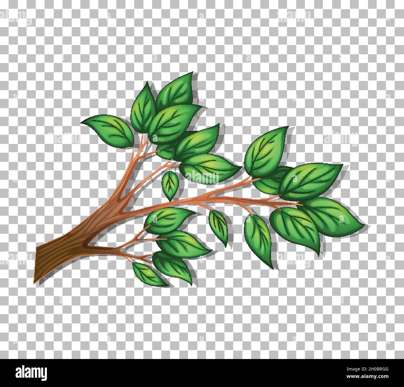 Tree branch on transparent background illustration Stock Vector Image ...
