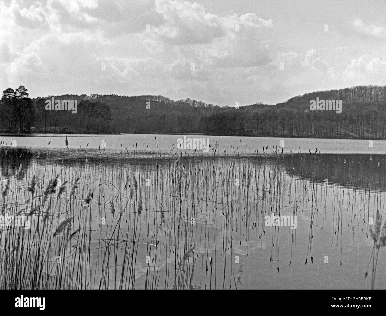 Seenlandschaft bei Johannisburg in Masuren, Ostpreußen, 1930er Jahre ...