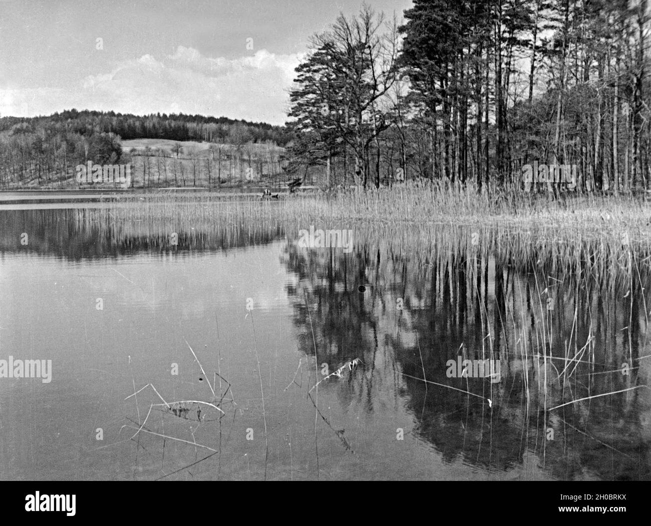 Seenlandschaft bei Johannisburg in Masuren, Ostpreußen, 1930er Jahre ...