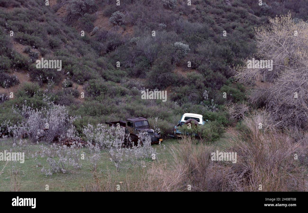 Autoschrott hi-res stock photography and images - Alamy