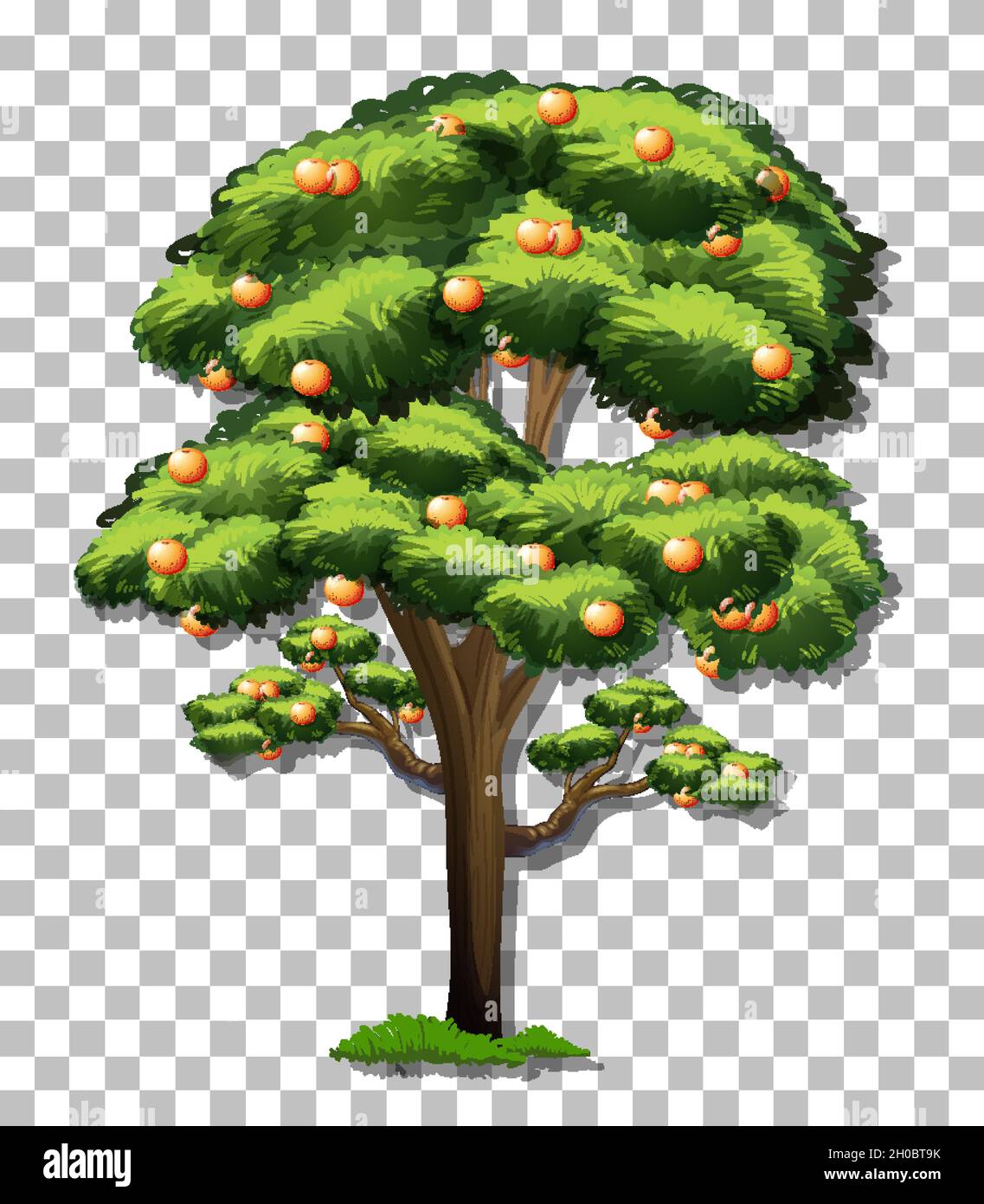 Orange tree on transparent background illustration Stock Vector Image ...