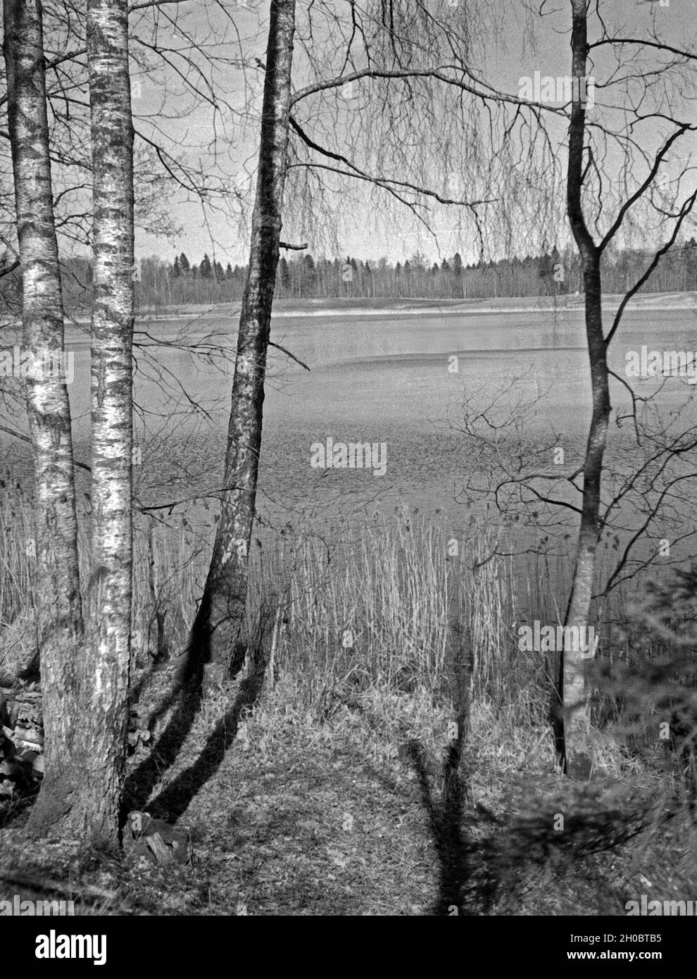 Landschaftsbild in der Nähe des Marschner Sees in Masuren, Ostpreußen ...
