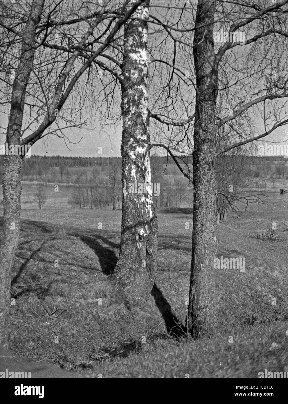 Vorfrühlingsbild aus Masuren, Ostpreußen, 1930er Jahre. Before ...