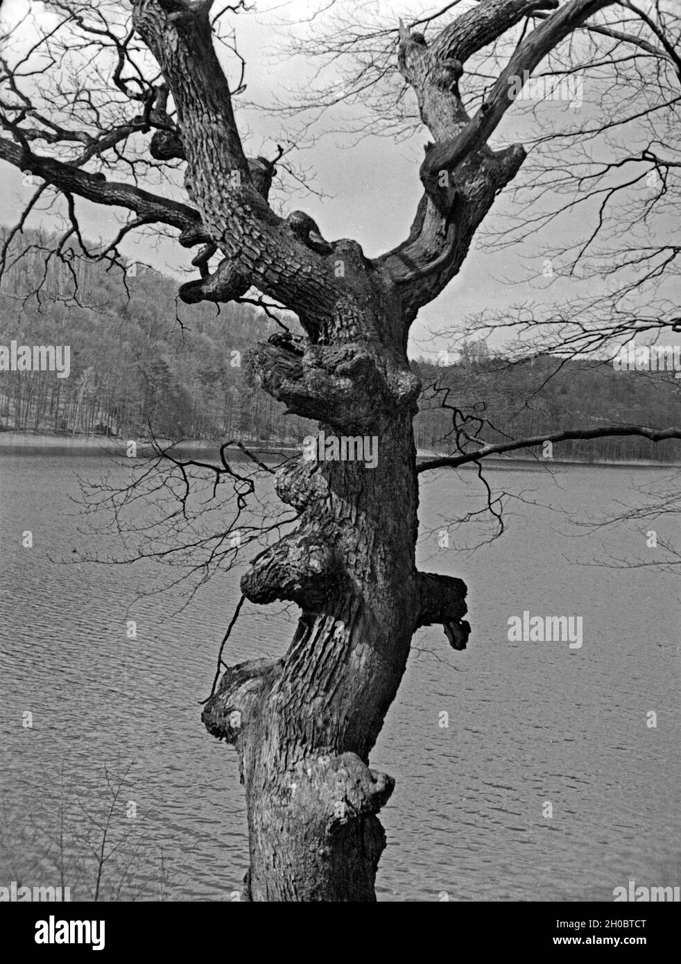Kurz vor dem Frühling Masuren, Ostpreußen, 1930er Jahre. Short before ...