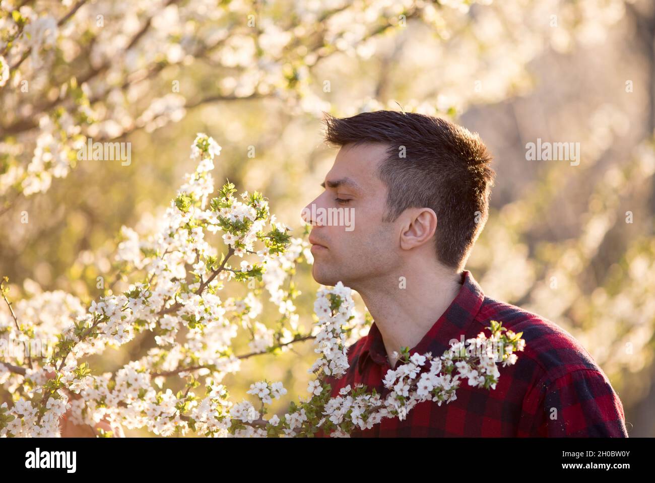 Attractive young man smelling blooming tree in orchard Stock Photo - Alamy