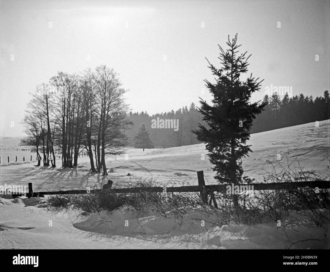Winter in der Landschaft Stablack in Ostpreußen, 1930er Jahre ...