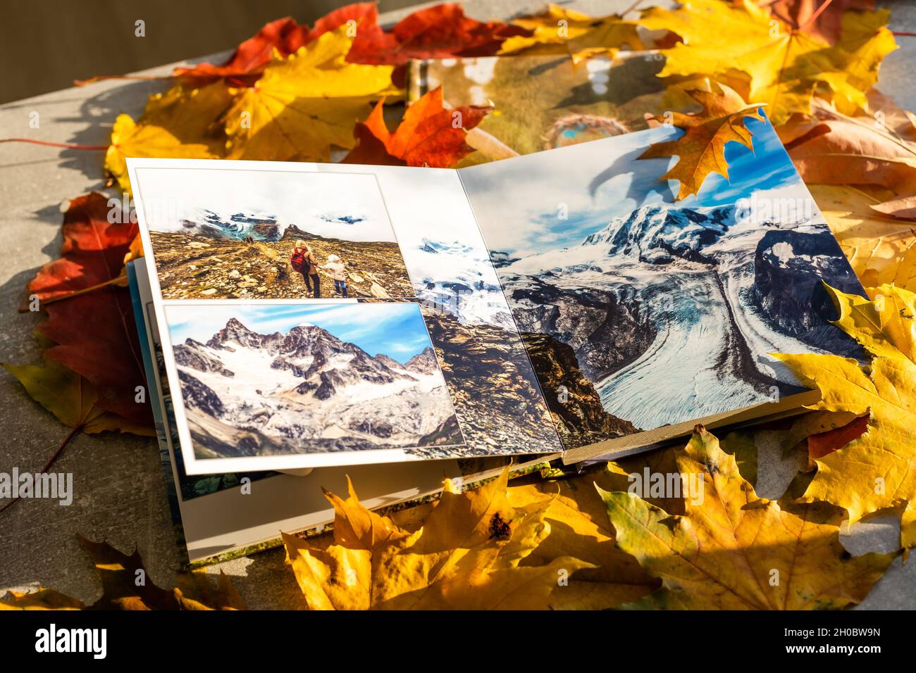 Album for photos in bright autumn foliage Stock Photo - Alamy