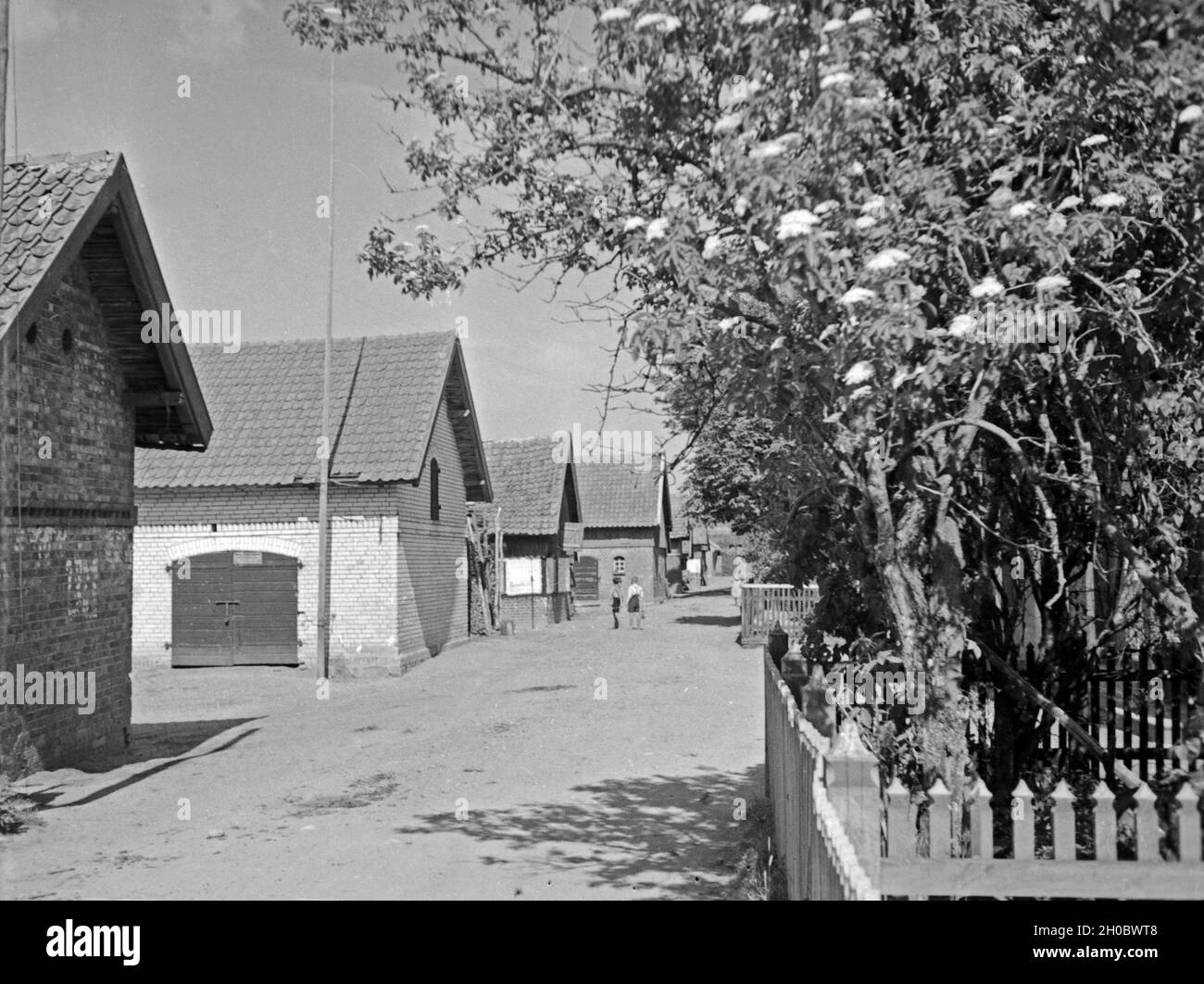 Die Dorfstraße in Gilge im Memeldelta, Ostpreußen, 1930er Jahre. Main ...