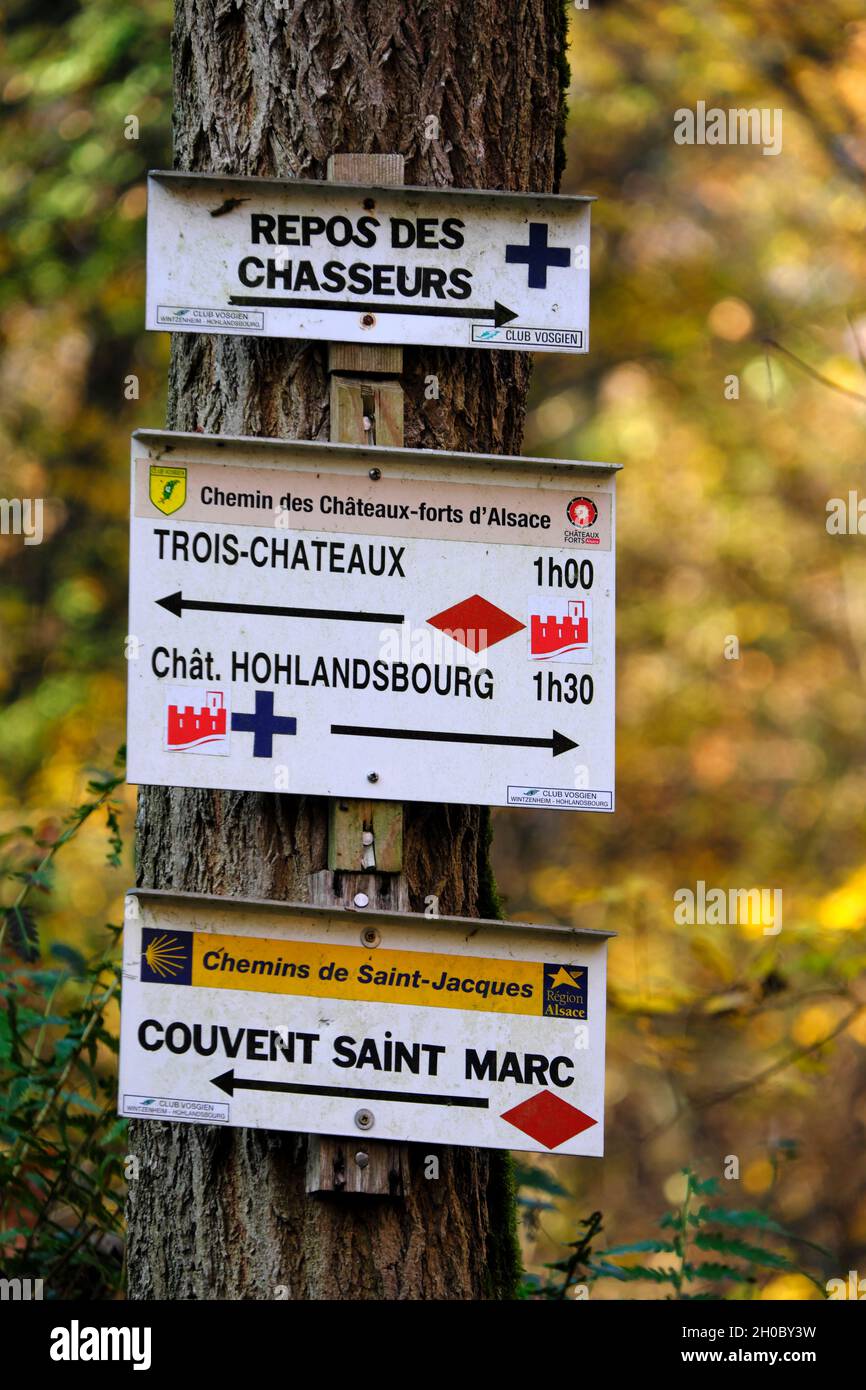 Signs, path markers, Chemin des Chateaux forts d'Alsace, Saint-Marc ...