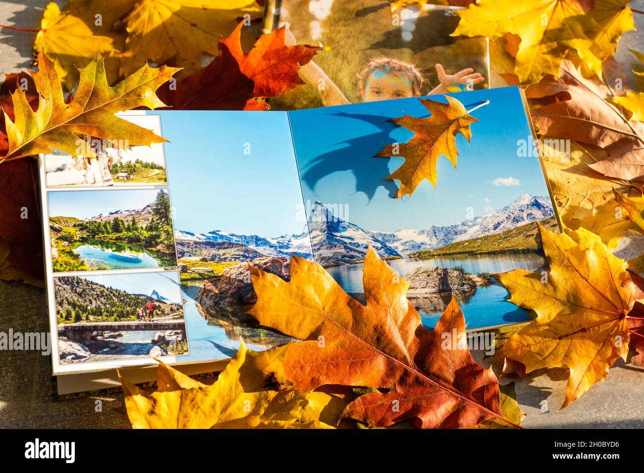 Photobook on the leaves background, closeup of photobook, family photo ...