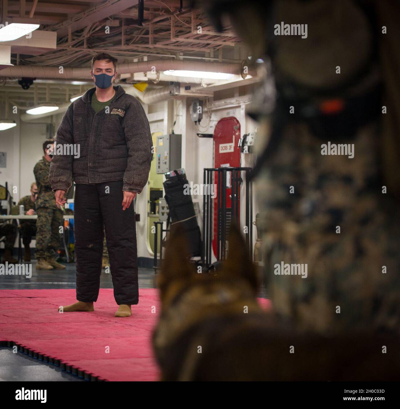 U.S. Marine Corps Coy M. Cole, a satellite communications operator with ...