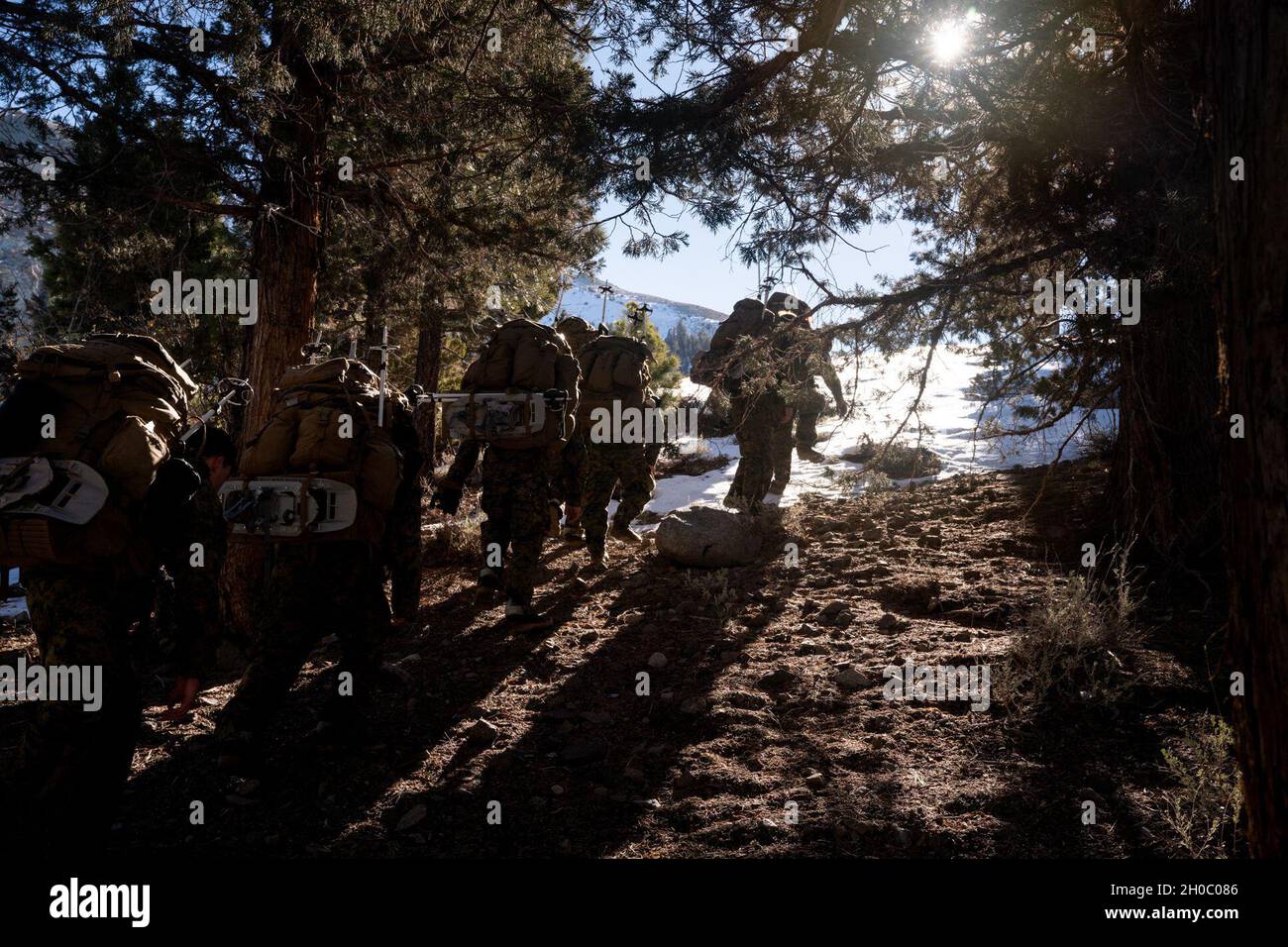 U.S. Marines attending the Mountain Warfare Training Center Winter ...