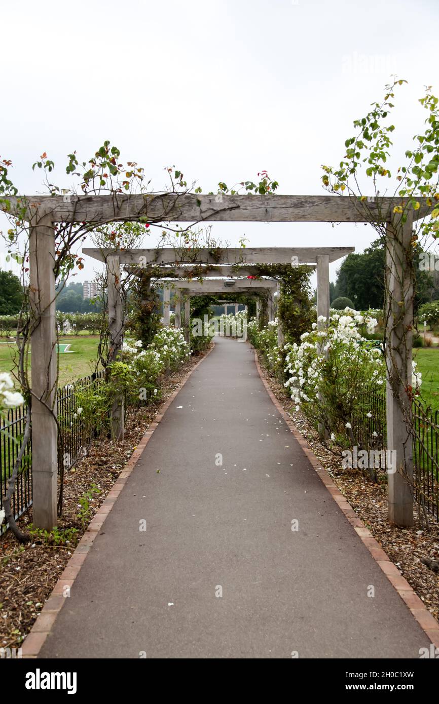 Pagoda over path or walkway in Wimbledon Park with rose bushes climbing ...