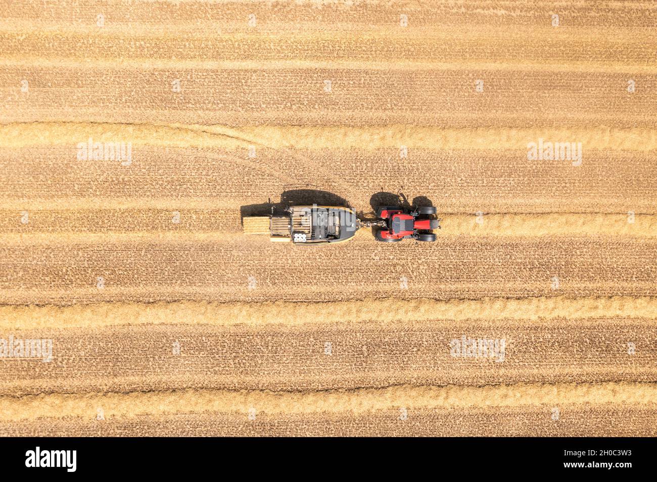 Making straw bales with a hay press in summer, Opal Coast, Pas de ...