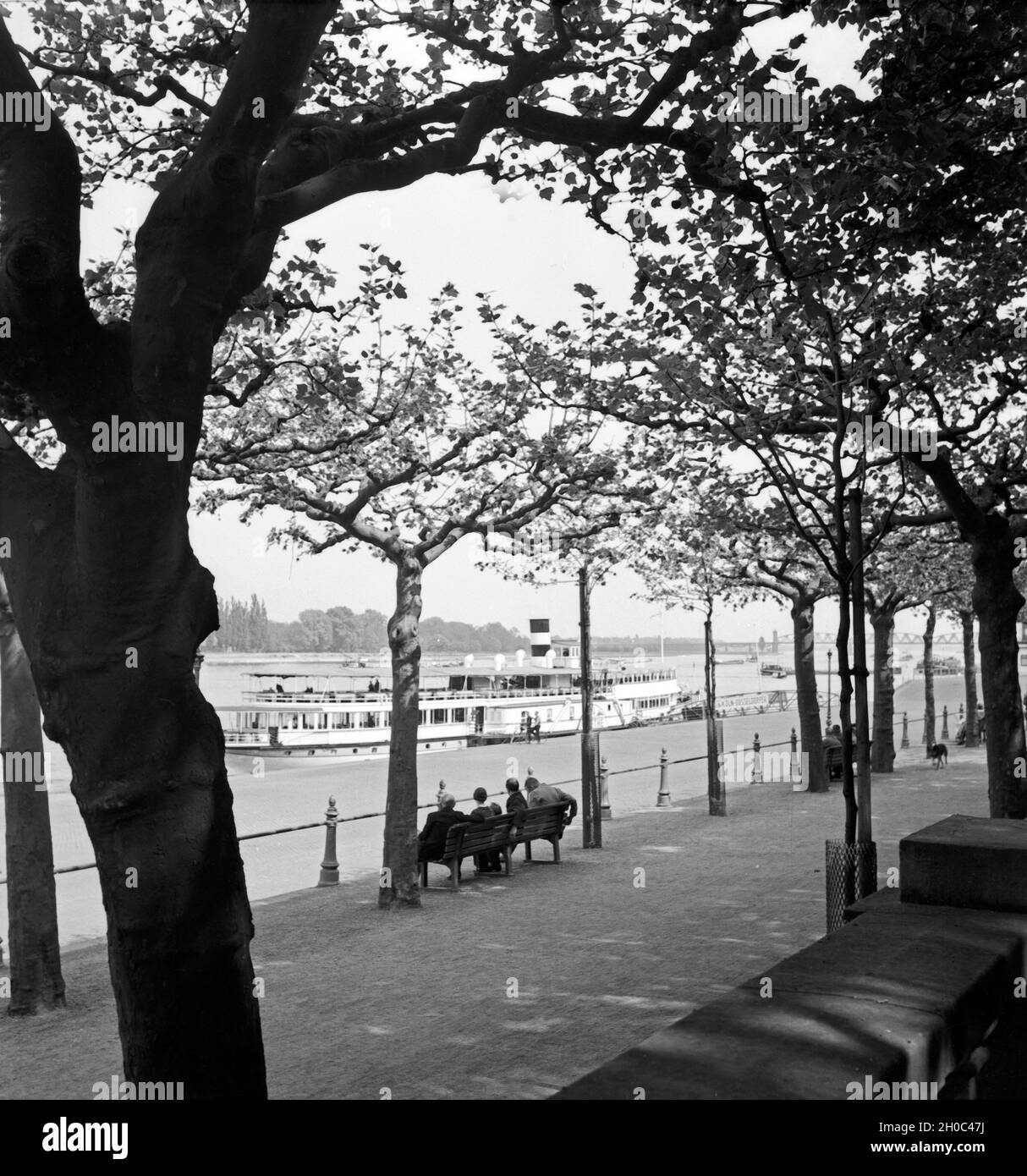Mainzer sitzen am Rheinufer in Mainz, Deutschland 1930er Jahre. People ...