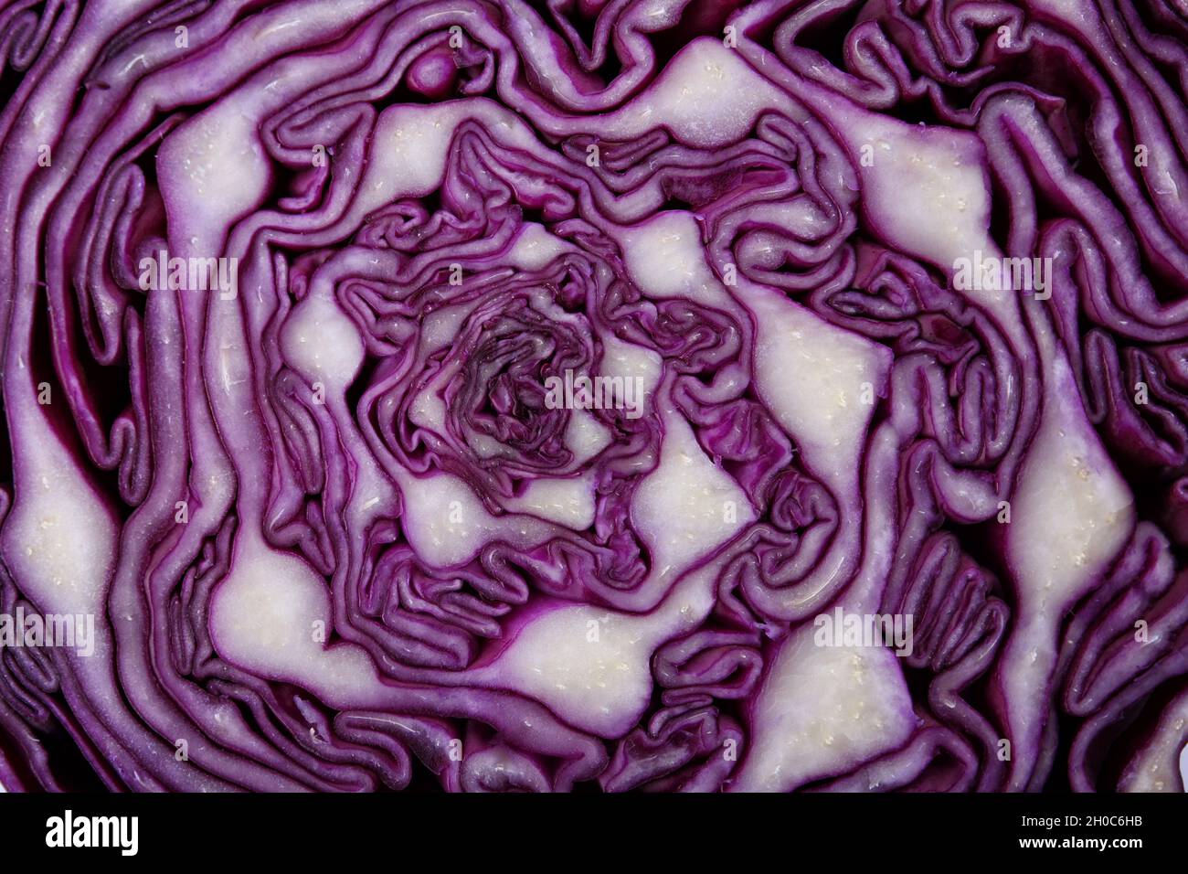 Texture of cut red cabbage as background, closeup Stock Photo - Alamy