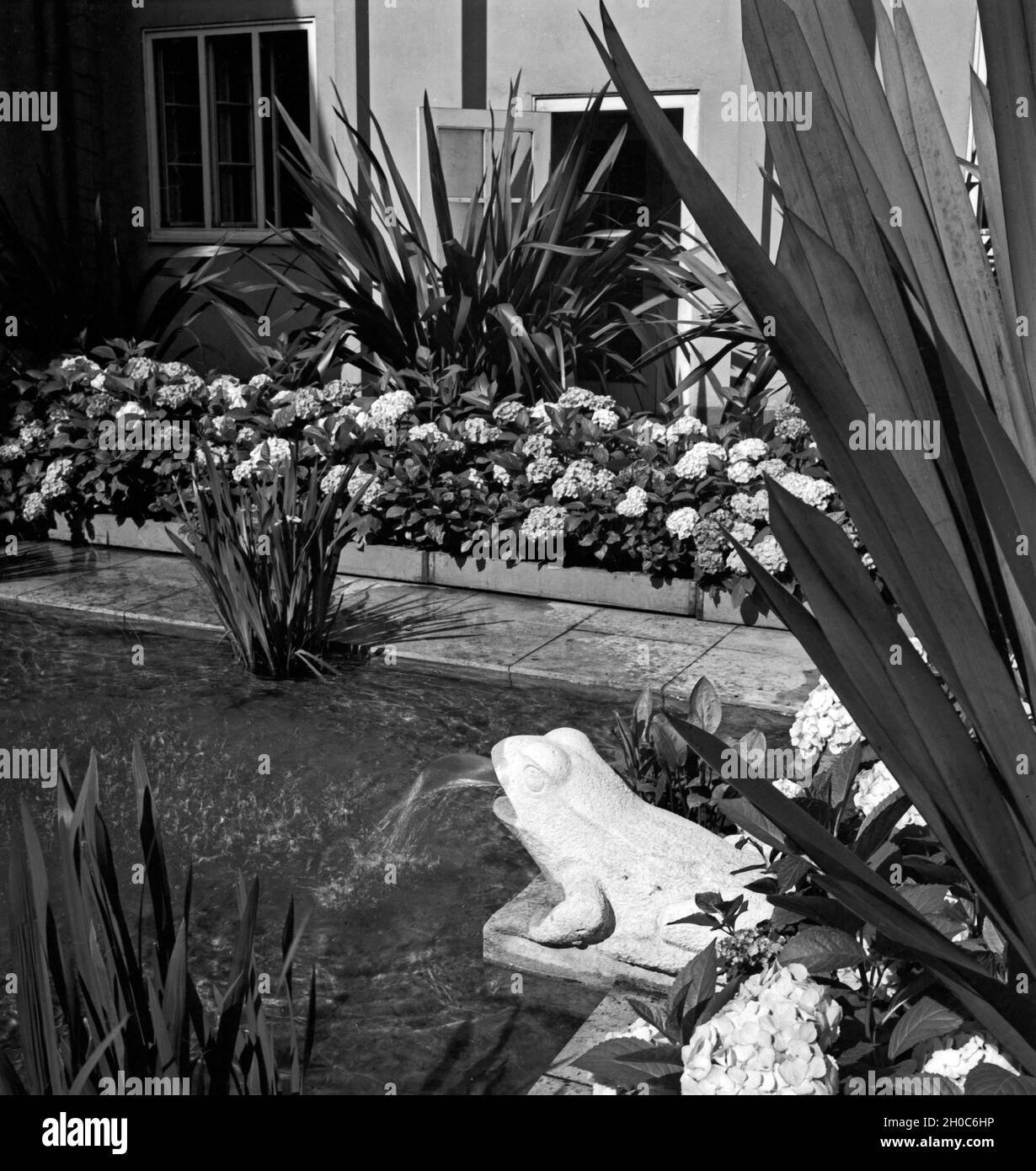 Wellness photographer Black and White Stock Photos & Images - Alamy