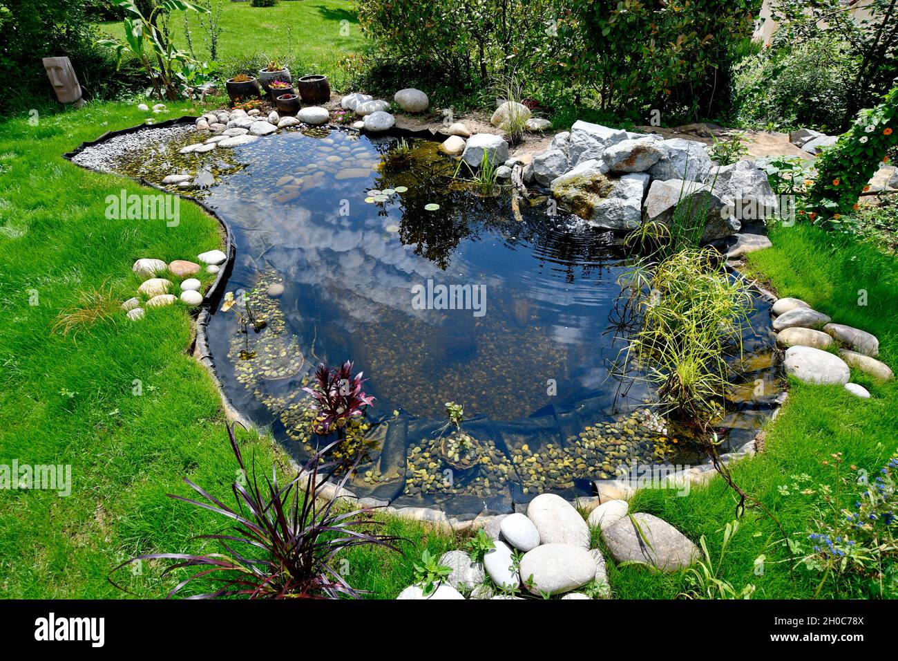 Creating a pond in a garden, France Stock Photo - Alamy