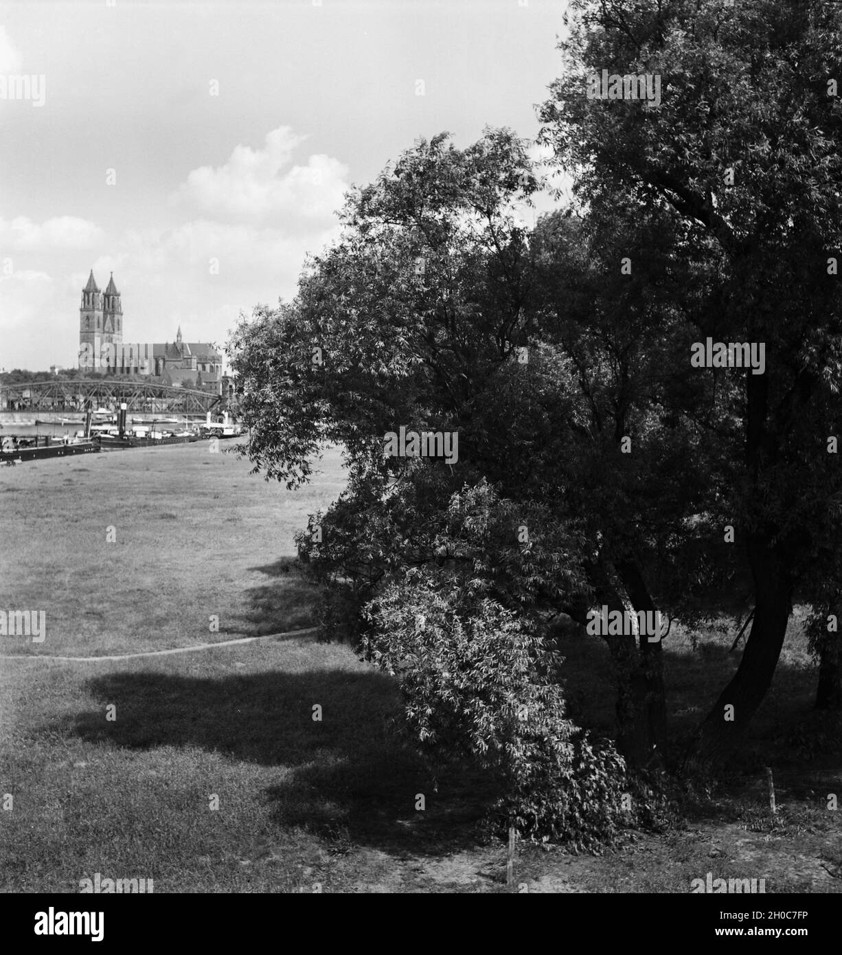 Aue mit dem Mageburger Dom in der Ferne, Deutschland 1930er Jahre ...