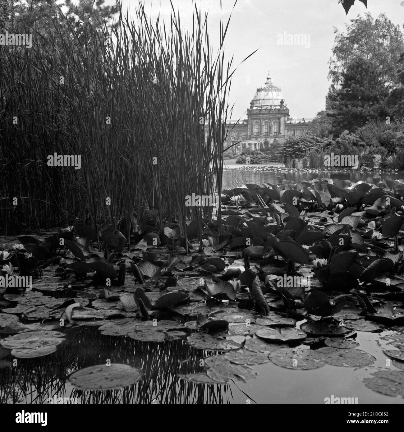 Das Provinzialmuseum in Hannover, Deutschland 1930er Jahre. The Hanover ...
