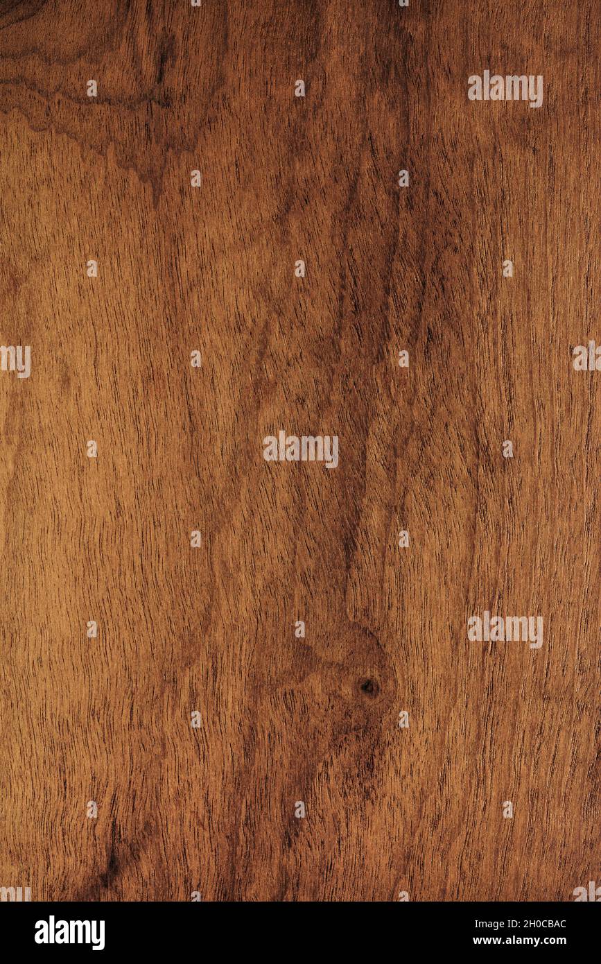 Lauraceae agriculture hi-res stock photography and images - Alamy