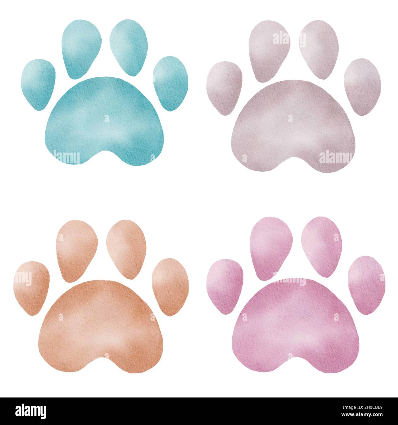Paw Print Nursery