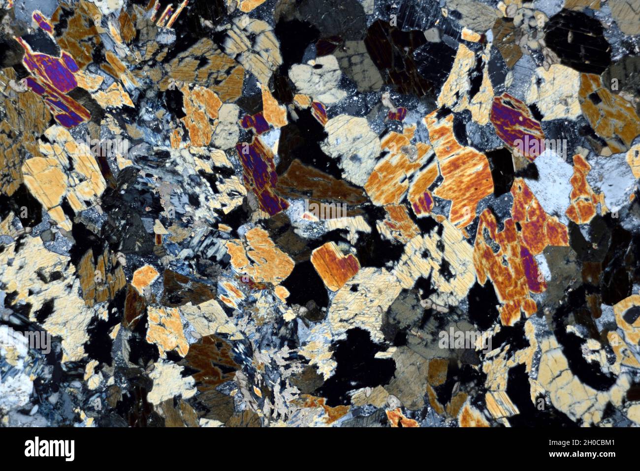 Garnet amphibolite thin section under cross-polarized light, Field of ...