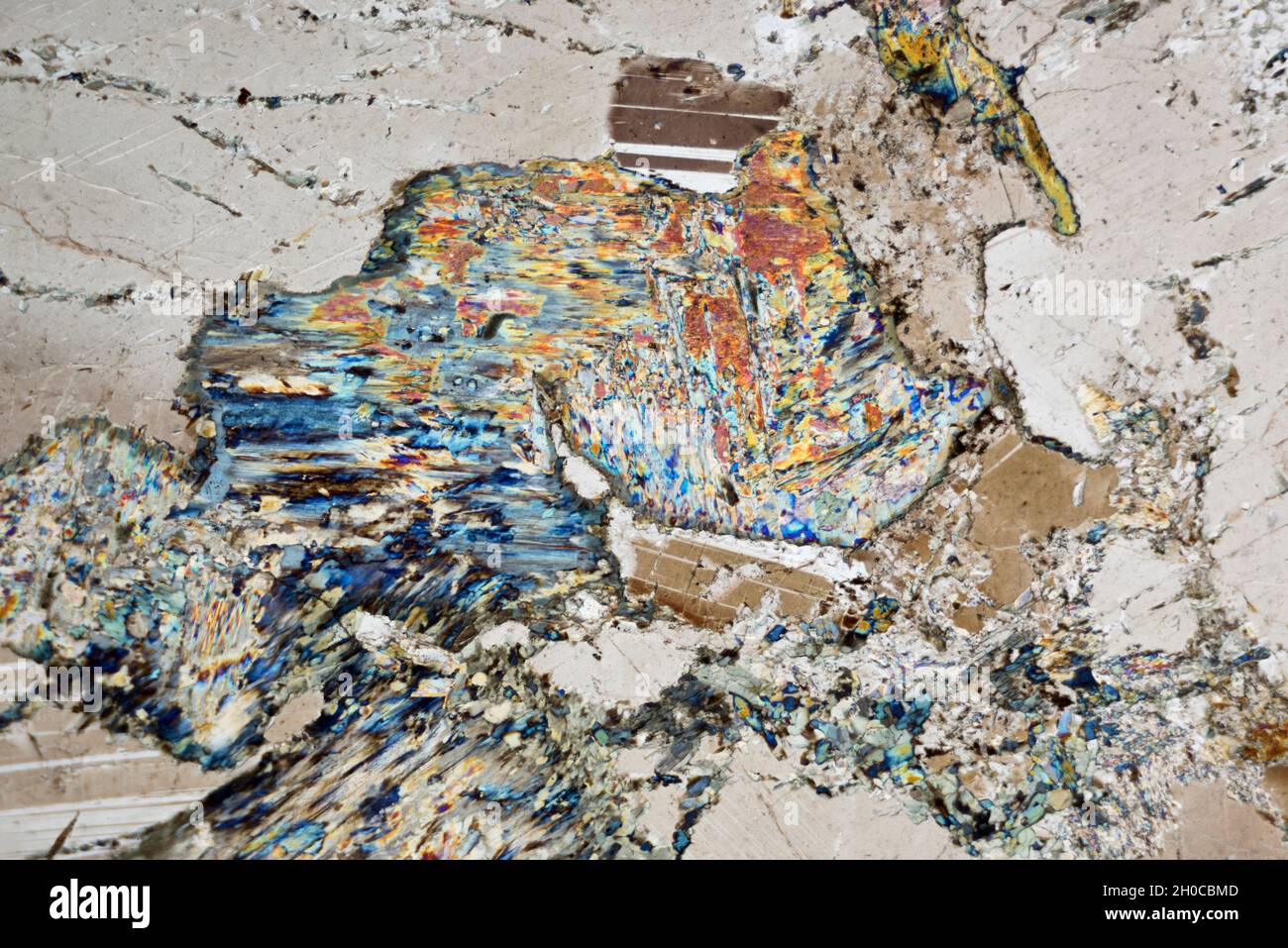 Gabbro thin section under cross-polarized light, Field of view - FOV ...