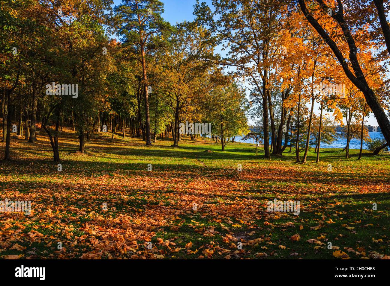 beautiful autumn landscape with colorful trees around the pond Stock ...